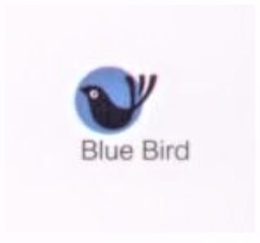 Blue Brid Top brands, unbeatable deals!