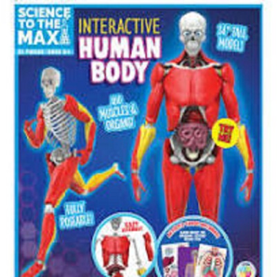 SCIENCE TO THE MAX: INTERACTIVE HUMAN BODY | B2S