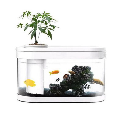 ตู้ปลาจำลองอัจฉริยะ HFJH 3015124 | OfficeMate