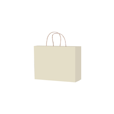 Good Box Pack ถุงกระดาษคราฟท์หูหิ้ว J9 30x10x24ซม. 4แพ็ค 100 ใบ | OfficeMate