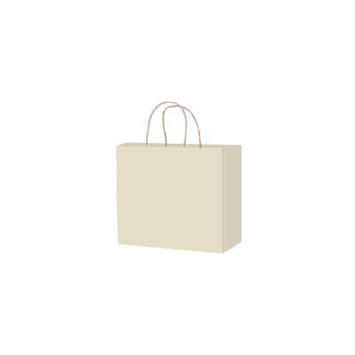 Good Box Pack ถุงกระดาษคราฟท์หูหิ้ว J5 25x13x22ซม 4 แพ็ค 100 ใบ | OfficeMate