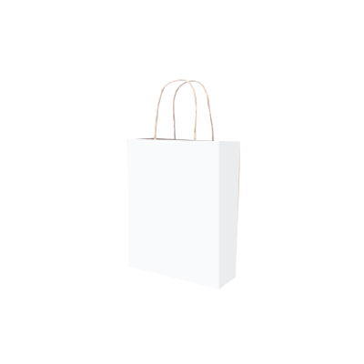 GOOD BOX PACK ถุงกระดาษขาว หูหิ้วJ3 ขนาด 20x10.5x28cm 4แพ็ค 100 ใบ ...