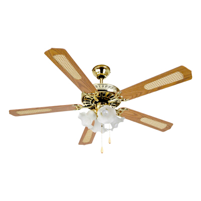 WIN FAVOUR พัดลมโคมไฟพลายวู๊ด รุ่น A06P สีทอง-น้ำตาล ขนาด 52 นิ้ว ...